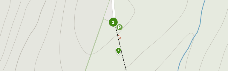 Best Wildlife Trails in Neversink River Unique Area | AllTrails