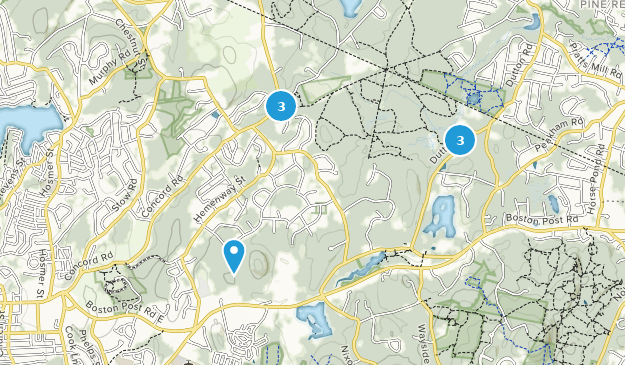 Best Forest Trails in Marlborough-Sudbury State Forest | AllTrails