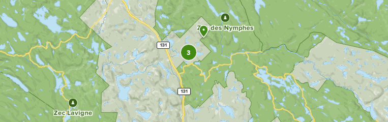 Best Forest Trails in ZEC des Nymphes | AllTrails