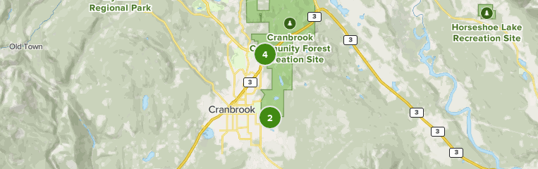 Las mejores rutas largas en Cranbrook Community Forest Recreation Site ...