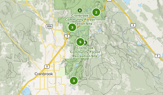 Best Walking Trails in Cranbrook Community Forest Recreation Site ...