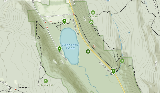 Best Views Trails in Labrador Hollow Unique Area | AllTrails