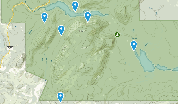 Best Forest Trails in Mount Carleton Provincial Park | AllTrails