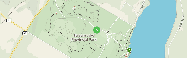 Best Kid Friendly Trails in Balsam Lake Provincial Park | AllTrails
