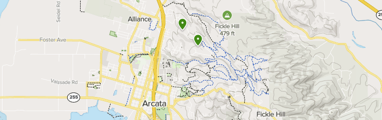 2023 Best Views Trails in Arcata Community Forest | AllTrails