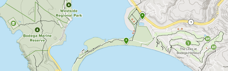 2023 Best Wheelchair Friendly Trails in Doran Regional Park | AllTrails