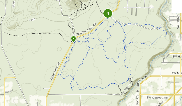 Best Mountain Biking Trails in Maston | AllTrails