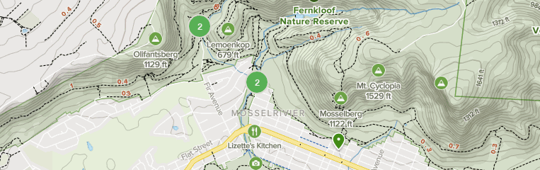 Best Forest Trails in Fernkloof Nature Reserve | AllTrails