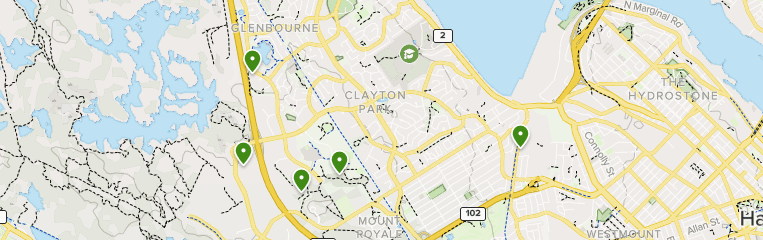 Best Bird Watching Trails in Halifax Mainland Commons | AllTrails