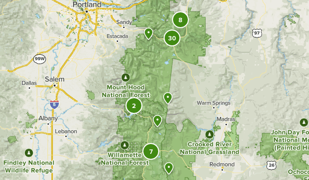 Best Snowshoeing Trails in Mount Hood National Forest | AllTrails