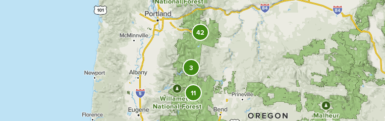 Best snowshoeing trails in Mount Hood National Forest, Oregon | AllTrails