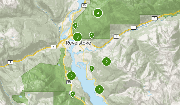 Best Forest Trails in Mount Revelstoke National Park | AllTrails
