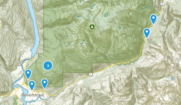 Best Walking Trails in Mount Revelstoke National Park | AllTrails