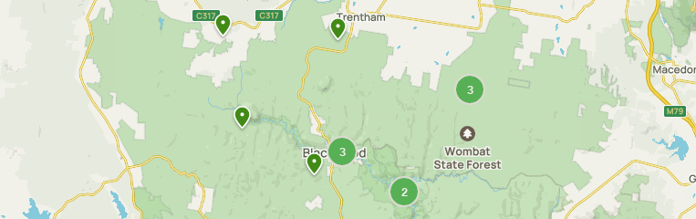 2023 Best Historic Site Trails in Wombat State Forest | AllTrails