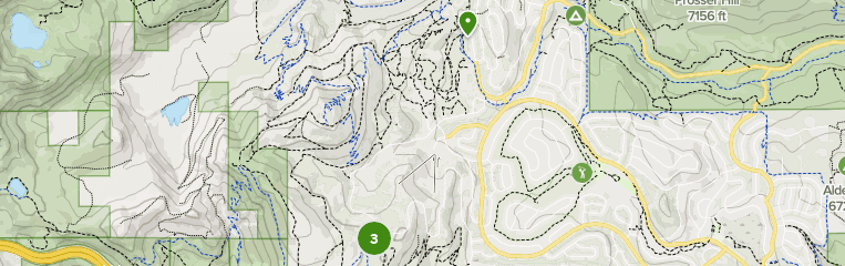 2023 Best Dog Friendly Trails in Tahoe Donner Trail System | AllTrails