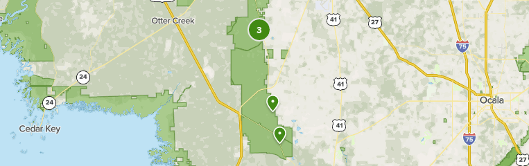 Best Bird Watching Trails in Goethe State Forest | AllTrails