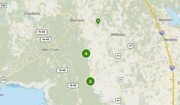 Best Forest Trails in Goethe State Forest | AllTrails