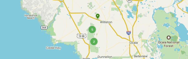 Best Hikes and Trails in Goethe State Forest | AllTrails