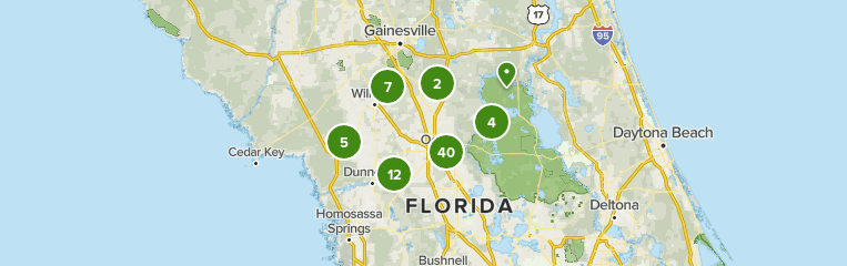 Best 10 Easy Trails in Marjorie Harris Carr Cross Florida Greenway ...