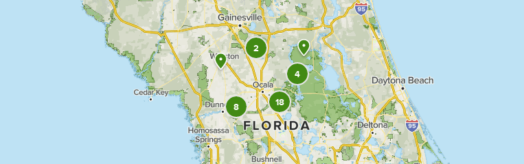 Best 10 Wildflowers Trails in Marjorie Harris Carr Cross Florida ...