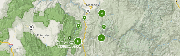 Best Forest Trails in Nez Perce National Forest | AllTrails