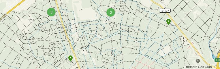 2023 Best Moderate Trails in Brandon Country Park | AllTrails