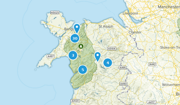 Best Bird Watching Trails in Snowdonia National Park | AllTrails