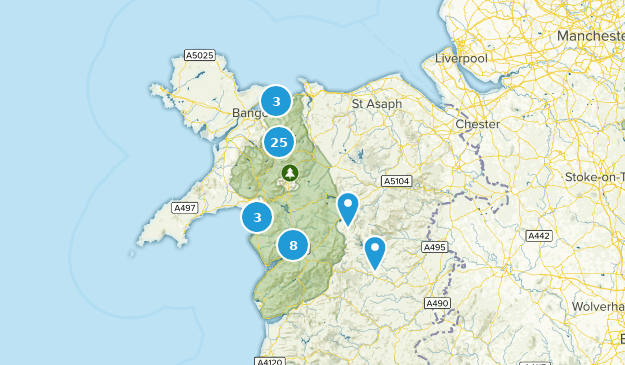 Best Running Trails in Snowdonia National Park | AllTrails