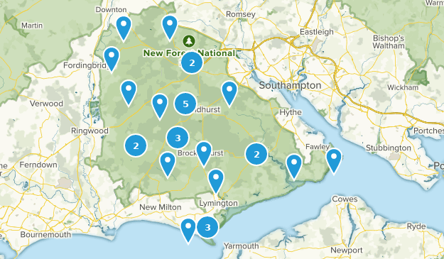 Best Trail Running Trails in New Forest National Park | AllTrails