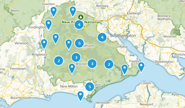 Best Running Trails in New Forest National Park | AllTrails