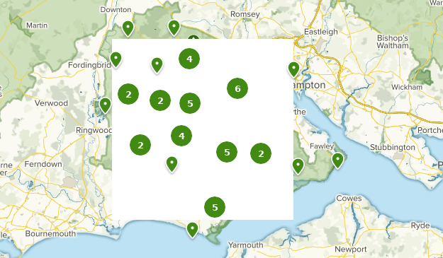 Best Running Trails in New Forest National Park | AllTrails