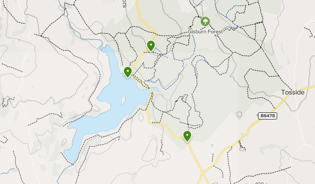 Best Walking Trails in Gisburn Forest | AllTrails