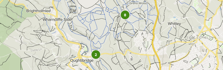 Best Wild Flowers Trails in Wharncliffe Woods | AllTrails