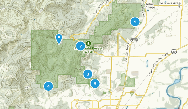 Best Running Trails in McDonald-Dunn Forest | AllTrails