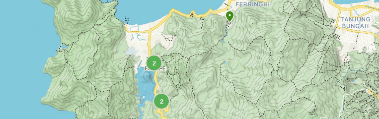 Best Moderate Trails in Teluk Bahang Forest Park | AllTrails