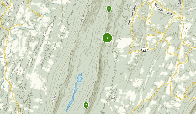 Best Forest Trails in Sleepy Creek Wildlife Management Area | AllTrails