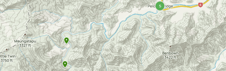 2023 Best Forest Trails in Pelorus Bridge Scenic Reserve | AllTrails