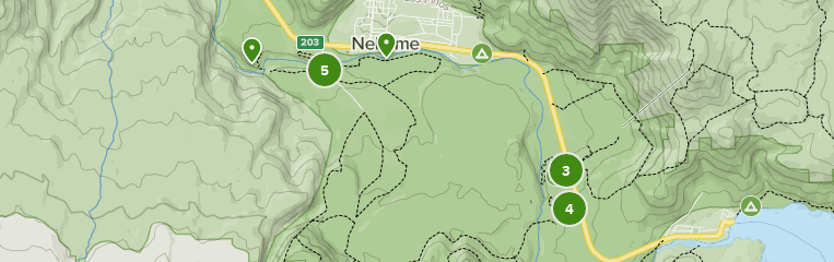 Las 10 mejores rutas fáciles en Reserva Biológica Huilo Huilo | AllTrails