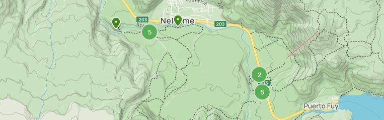 Best 10 Hikes and Trails in Reserva Biológica Huilo Huilo | AllTrails