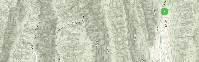 2023 Best Wild Flowers Trails in Kuliouou Forest Reserve | AllTrails