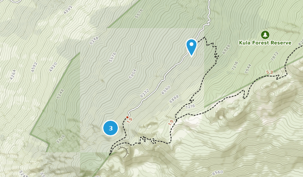 Best Hiking Trails in Polipoli Spring State Recreation Area | AllTrails