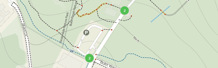 2023 Best Views Trails in Bukit Timah Nature Reserve | AllTrails