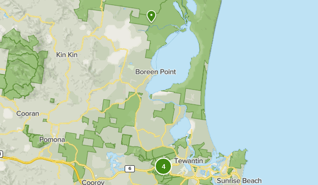 Best Forest Trails in Tewantin National Park | AllTrails