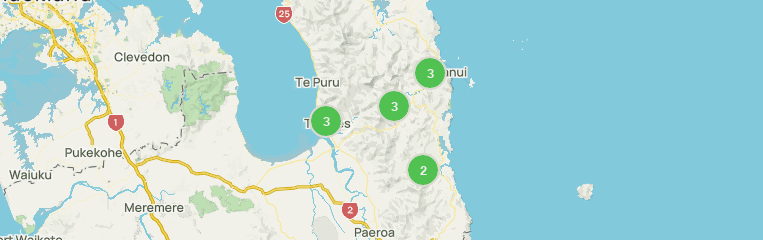 Best Trail Running Trails in Coromandel Forest Park | AllTrails