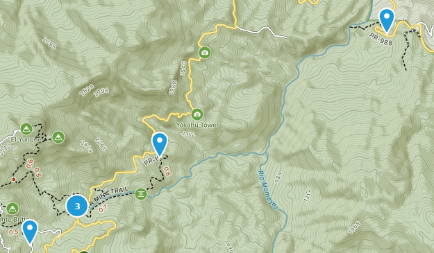 Best Kid Friendly Trails in El Yunque National Forest | AllTrails