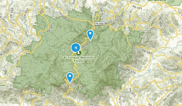 Best Views Trails in El Yunque National Forest | AllTrails