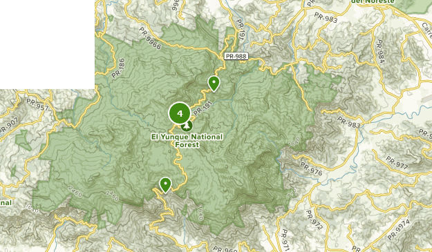 Best Views Trails in El Yunque National Forest | AllTrails