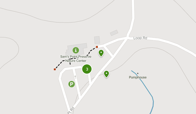 Best Forest Trails in Minnewaska State Park Preserve: Sam's Point Area ...