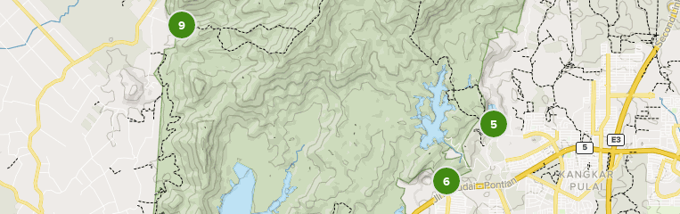 Best 10 Forest Trails in Gunung Pulai Recreational Forest | AllTrails