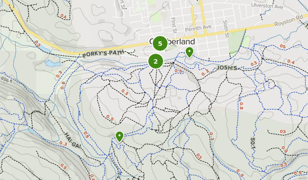 Best Mountain Biking Trails in Cumberland Community Forest | AllTrails